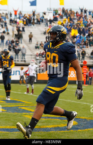 California Golden Bears tight end Jake Tonges (85) catches the football ...