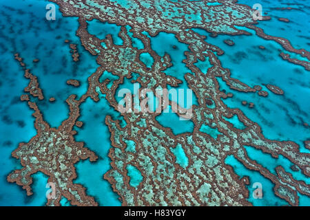 Coral formations on Hardy Reef, Great Barrier Reef, Queensland ...