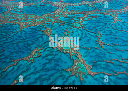 Coral formations on Hardy Reef, Great Barrier Reef, Queensland ...