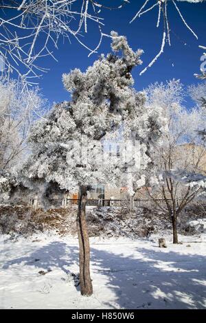 Landscape of the Rime Island in the Songhua River in Jilin city ...