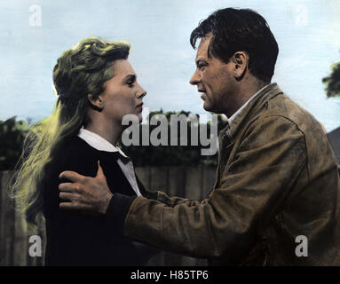 PICNIC -1955 KIM NOVAK Stock Photo - Alamy