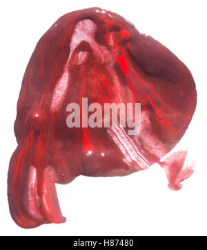 Gouache isolated on white background Stock Photo - Alamy