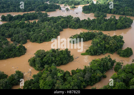 Silted river in rainforest, Cuyuni River, Guyana Stock Photo - Alamy
