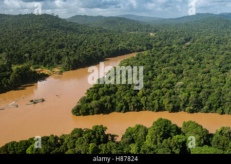 Silted river in rainforest, Cuyuni River, Guyana Stock Photo - Alamy