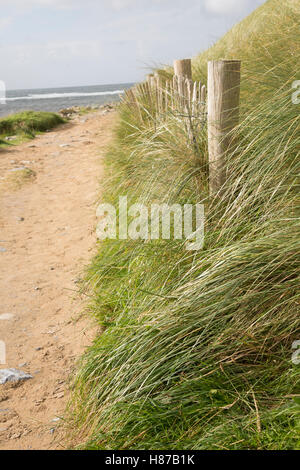 Footpath to Beach, Clare, Ireland Stock Photo - Alamy