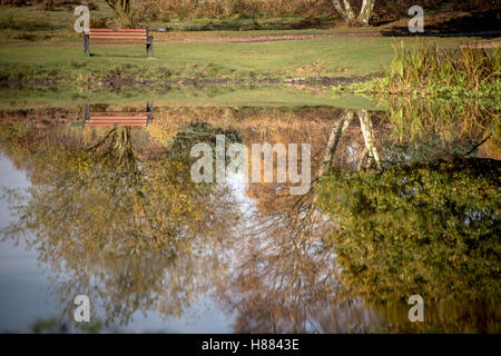 Autumn colours reflected in Little Bracebridge Pool in Sutton Park ...