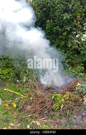 A smoky bonfire Stock Photo - Alamy