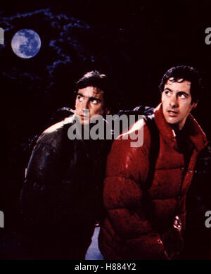 American Werewolf, (AN AMERICAN WEREWOLF IN LONDON) USA 1981, John ...