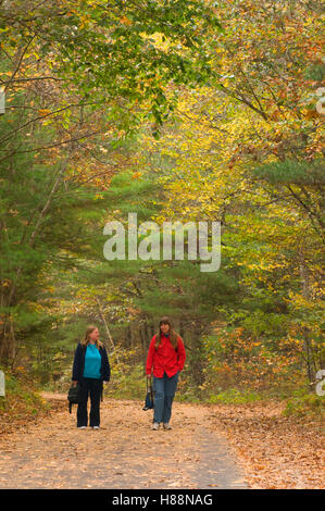 Hikers on rail trail, Windham Rail Trail, New Hampshire Stock Photo - Alamy