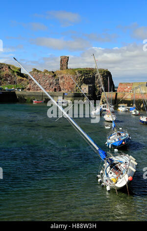 Dunbar harbour marina quay and castle East Lothian Scotland Stock Photo ...
