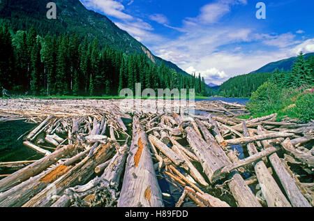 Log booms floating on the Fraser River, Vancouver, British Columbia ...