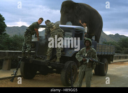 OPERATION DUMBO DROP (1995) RAY LIOTTA, DINH THIEN LE OPDP 013 Stock ...