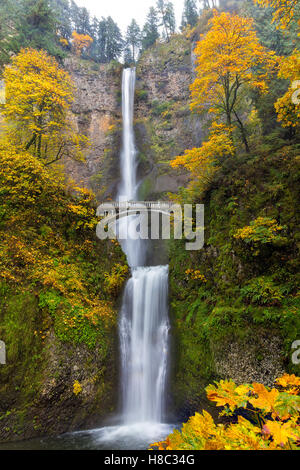 Autumn season and fall foliage at Multnomah Falls waterfall, Columbia ...