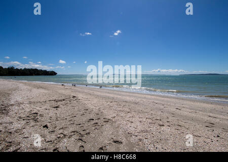 Omana Beach in Maraetai, East Auckland Stock Photo - Alamy