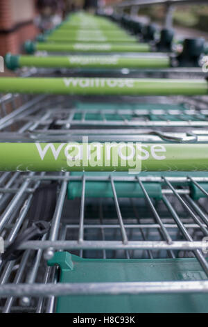 Rows of Waitrose supermarket trolleys Stock Photo - Alamy