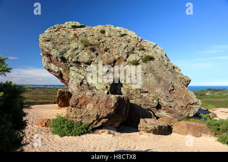 Agglestone Rock (Devil's Anvil) very prominent on Godlingstone Heath of ...