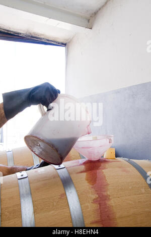 enologist working in a wine cellar Stock Photo - Alamy