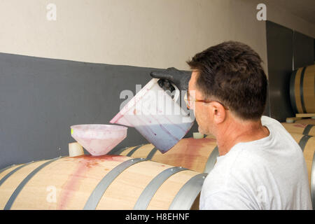enologist working in a wine cellar Stock Photo - Alamy