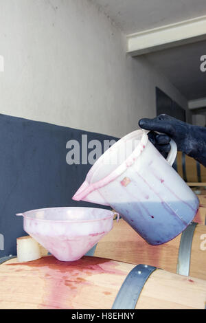 enologist working in a wine cellar Stock Photo - Alamy