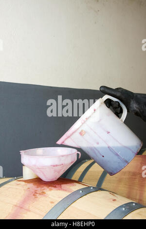 enologist working in a wine cellar Stock Photo - Alamy