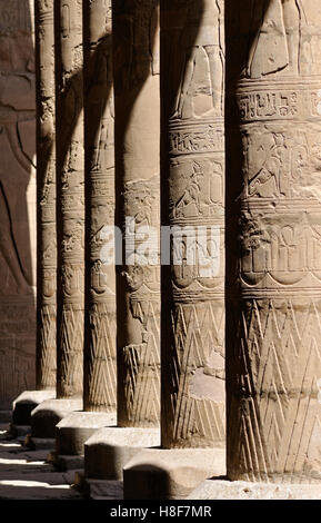 Columns in Court of Offerings at Ptolemaic Cult Temple of Horus in Edfu ...