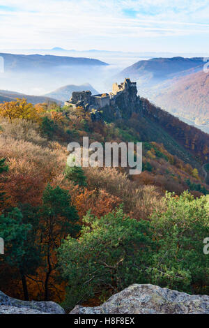 Schönbühel-Aggsbach: Aggstein Castle, river Danube, Wachau ...