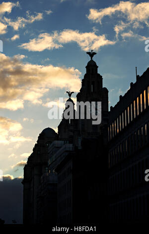 The Royal Liver Building in Silhouette - black and white version Stock ...