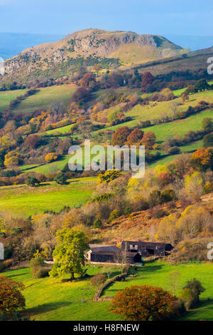 Heath Mynd with Shropshire countryside and farming landscape seen from ...