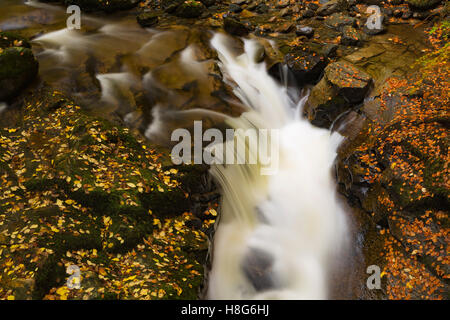 The Birks of Aberfeldy along the Moness Burn in Perthshire, Scotland ...