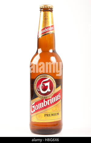 Gambrinus Czech beer Stock Photo - Alamy
