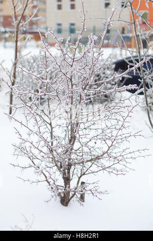 in Moscow there was icy rain Stock Photo - Alamy