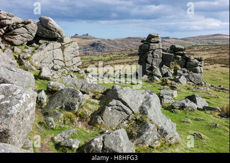 Granite boulders at Smallacombe Rocks on Dartmoor Stock Photo - Alamy