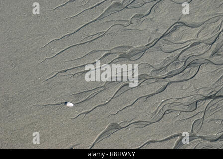 Tiny, meandering channels left on fine beach sand by retreating waves ...
