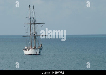 Tallship Corwith Cramer at anchor Stock Photo - Alamy