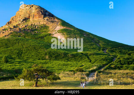 Tree Roseberry Topping Stock Photo - Alamy