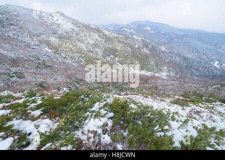 Sakhalin mountains in early winter, Russia Stock Photo - Alamy