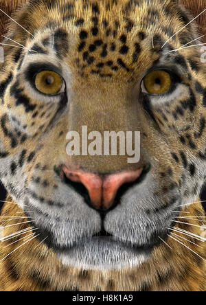 3D rendering of a big cat jaguar isolated on white background Stock ...