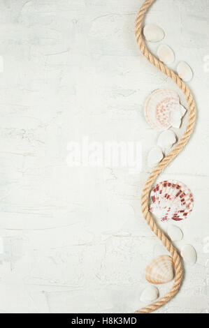 Sea shells with rope on white wooden background, copy space. Vacation ...