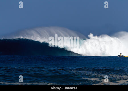 Tow in surfers on wave runners surf big waves on the north shore of ...