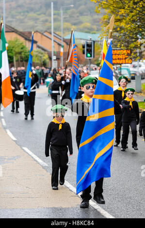 A flag-bearer carries the Irish tricolour during a march to Cappagh, Co ...