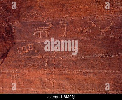 Petroglyphs etched in sandstone, symbols, prehistoric and historic rock ...