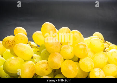 Large grapes cluster amber color on black background Stock Photo - Alamy