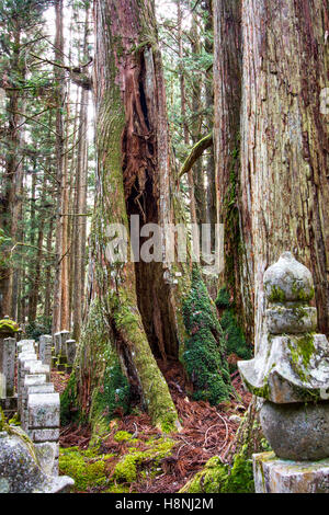 Japan, Koyasan, Okunoin cemetery. Gorinto, five stone tower AKA five ...