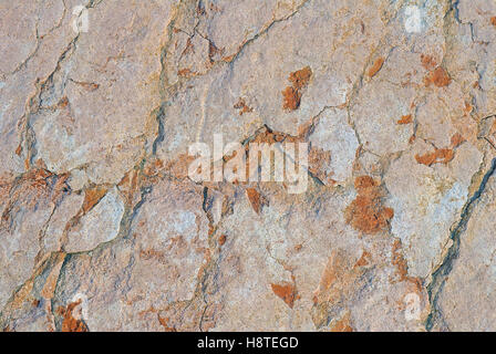 natural "scaglia rossa" red limestone, Italy Stock Photo - Alamy