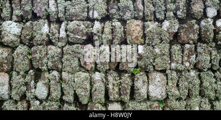A Cornish hedge a dry stone wall filled with soil wall found in ...