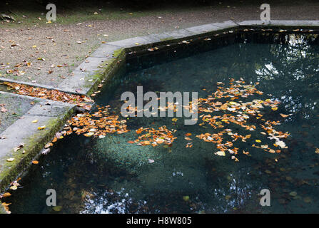 Rill and octagonal pond at Rousham House and Garden, Oxfordshire ...