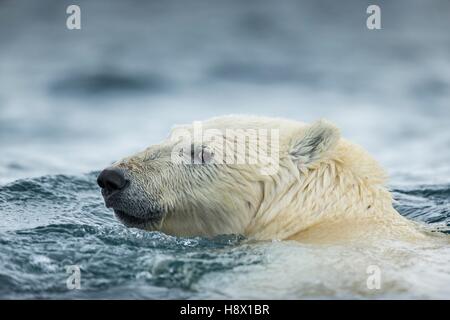 Canada, Nunavut Territory, Repulse Bay, Underwater view of melting ...