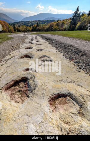 Sauropod footprints in Plagne in the Jura Ain France . Footprints left ...