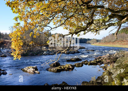 River Dee at Potarch Bridge Aberdeenshire Scotland low water level with ...