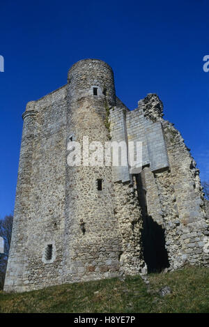 Castle ruins. Creuse department. Limousin. France Stock Photo ...